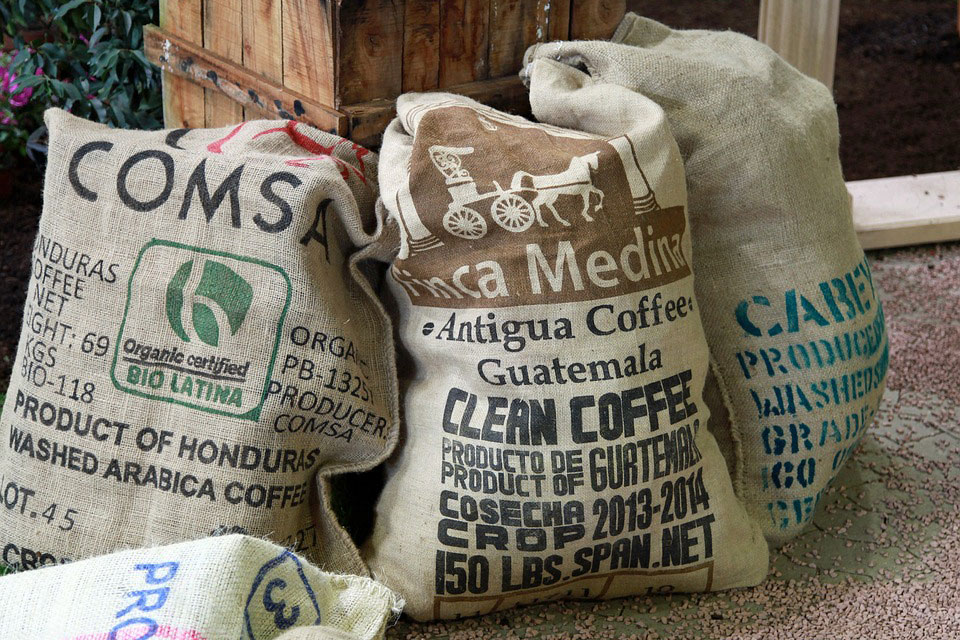 To Dream About Sack – Meaning and Symbolism | Dream Glossary