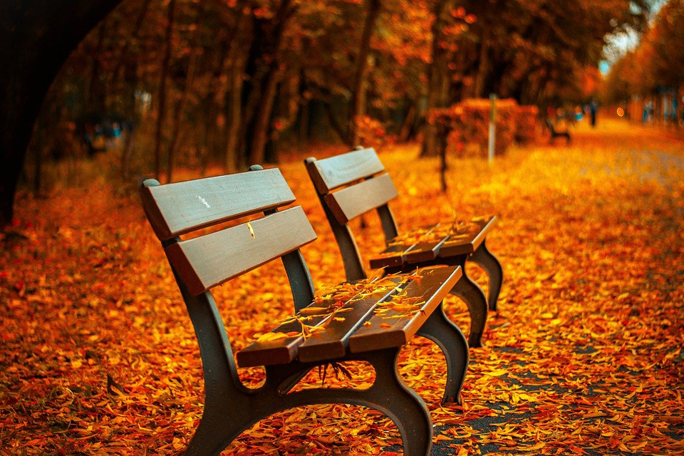 To Dream of a Bench – Meaning and Symbolism | Dream Glossary