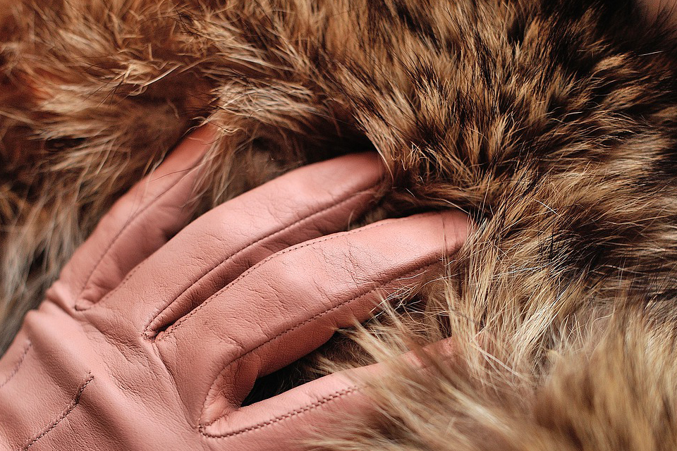 Fur Dream Meaning And Symbolism Dream Glossary
