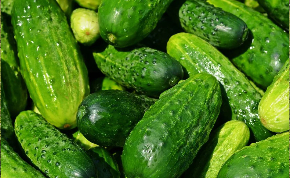 What Does It Mean to Dream of a Cucumber? | Dream Glossary